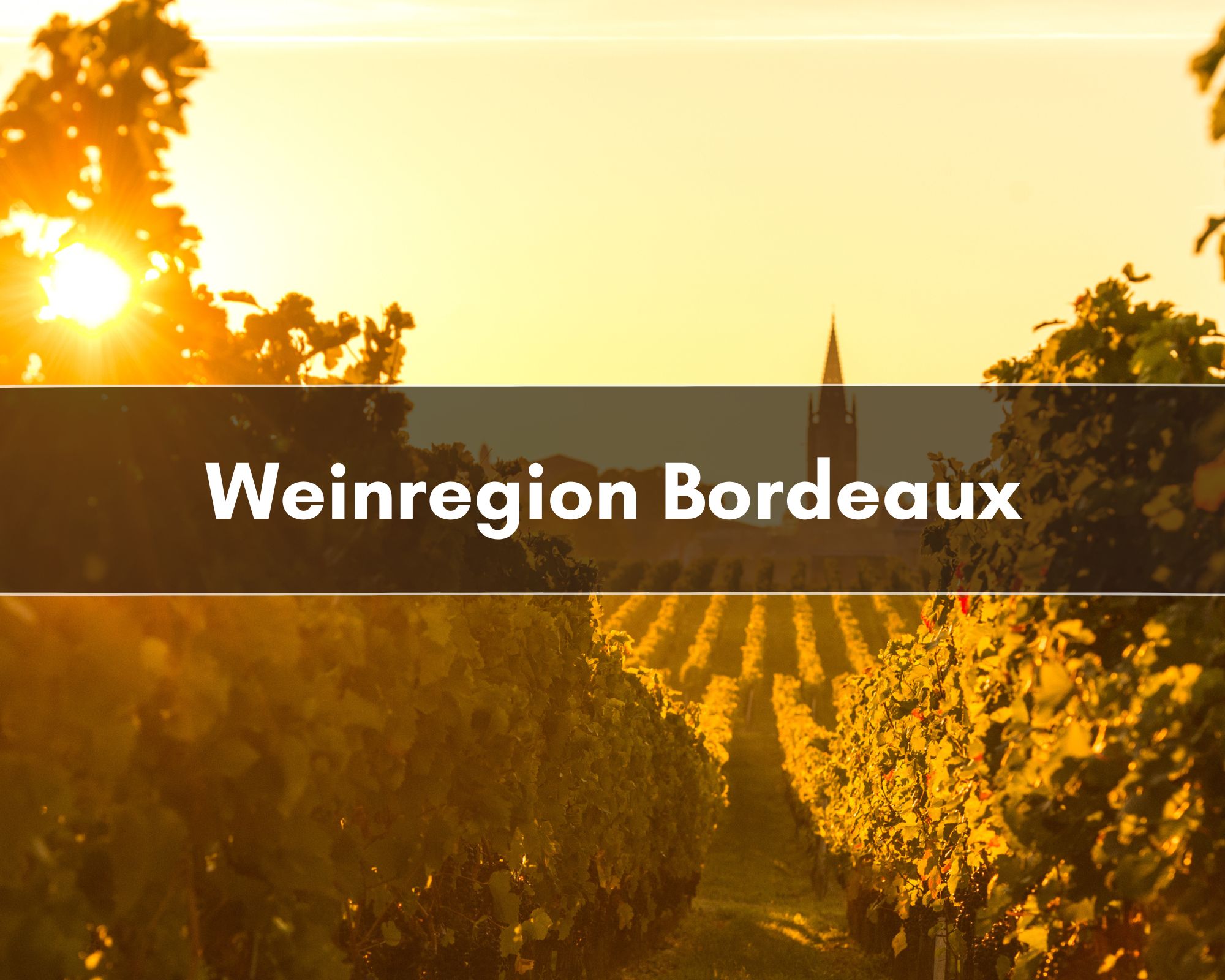 Weinregion Bordeaux - Eine faszinierende Weinregion voller Tradition ...